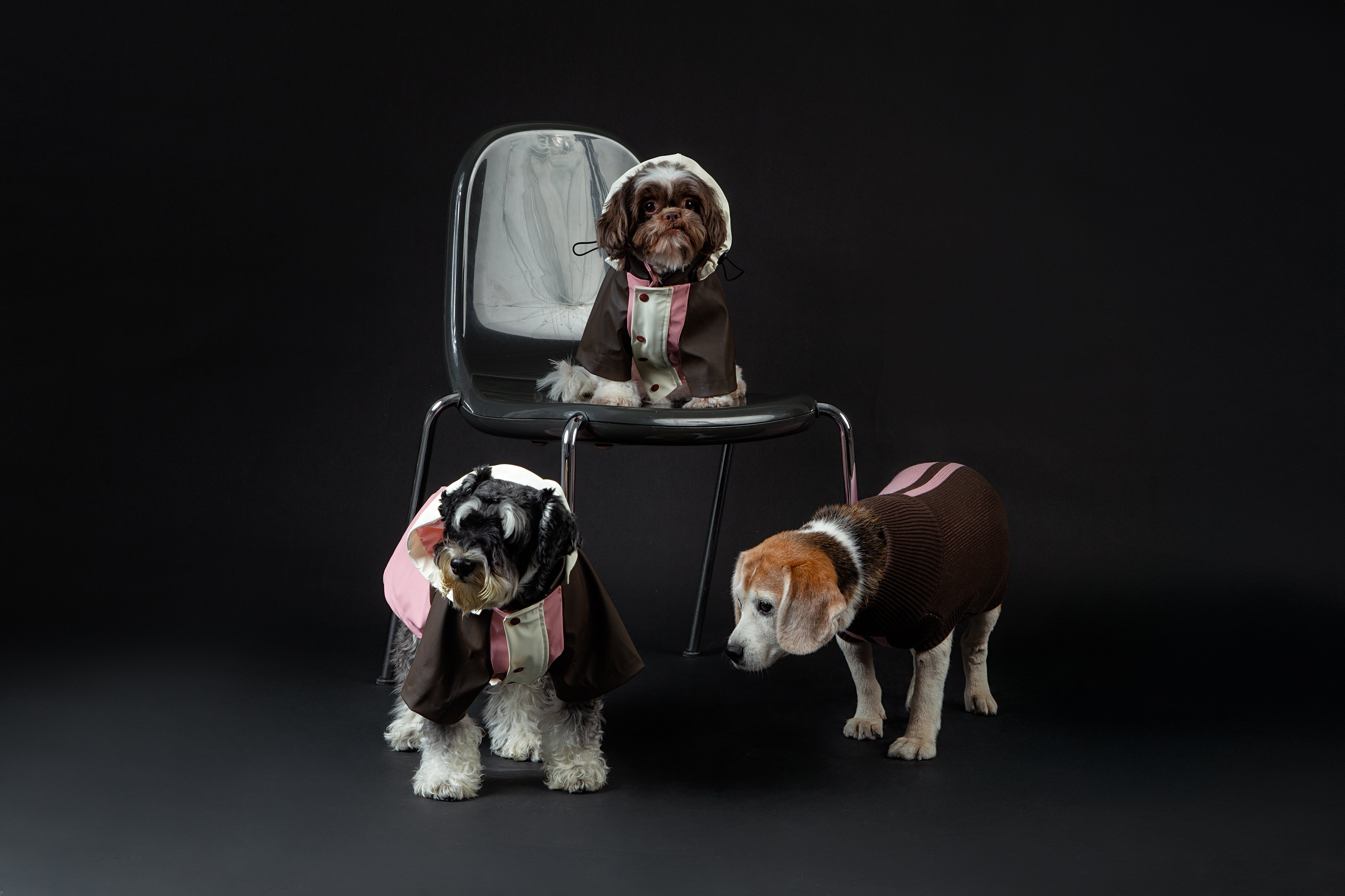 Shop All – pupp st.